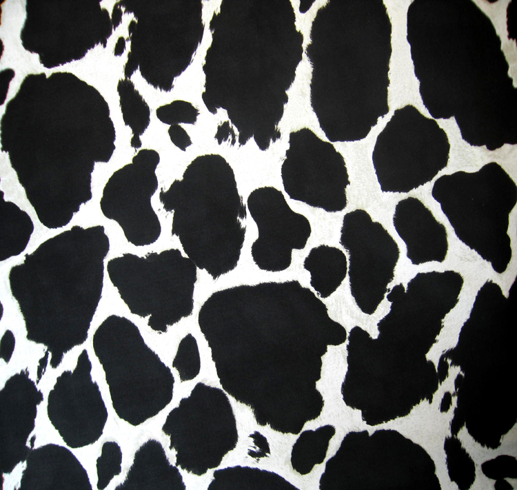 Cradle – Black Cow – Matching Bumper | Jumpbird